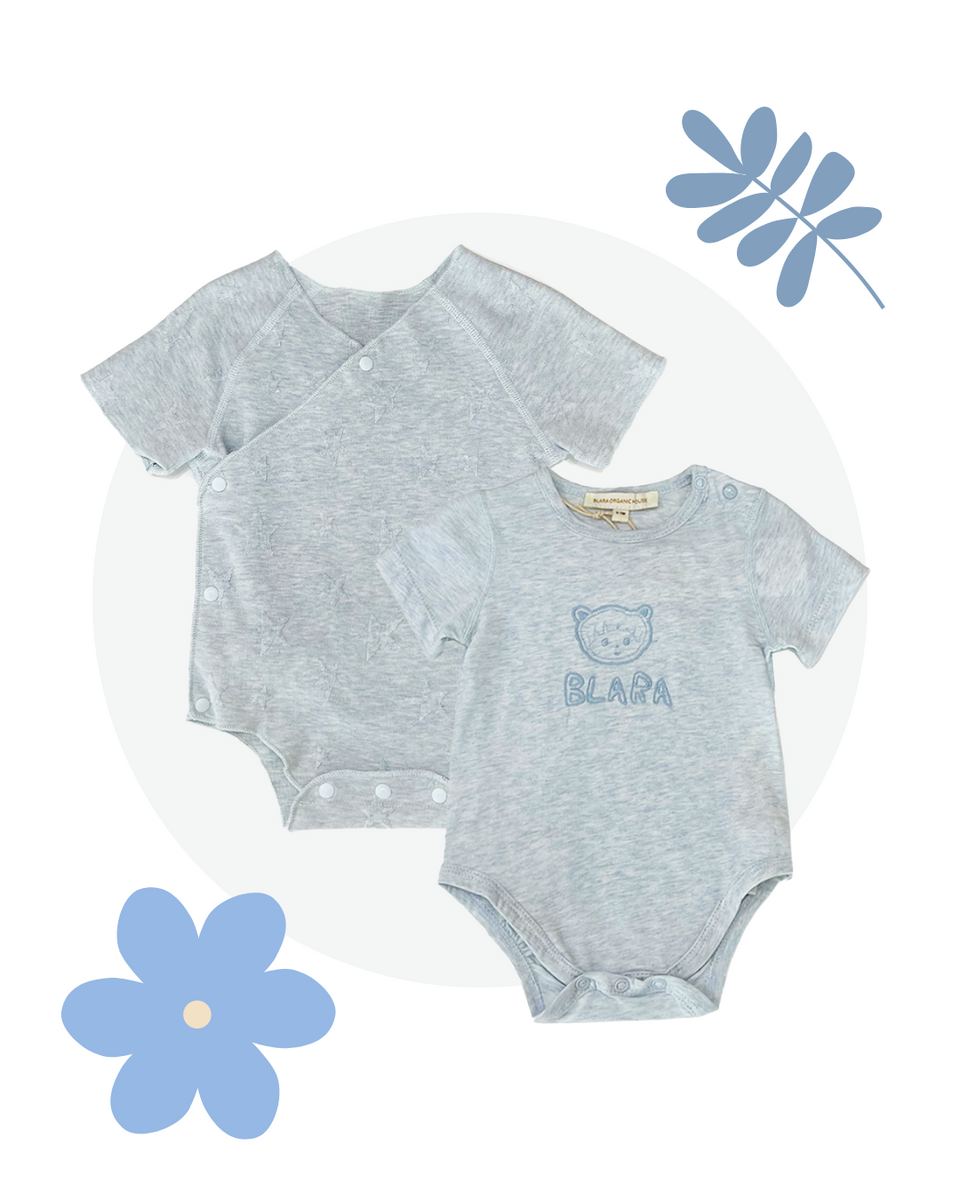 Baby Spring / Summer Bodysuit Bundle (Pack of 2, Blue) – Blara Organic ...